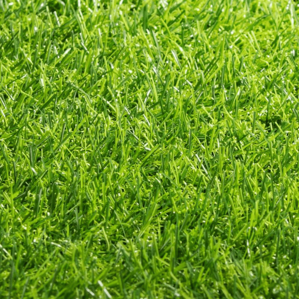 Cruzeiro Gomas - Pasto Sintético Basic 15 Mm X 2 Mts Ancho (50M2 ...